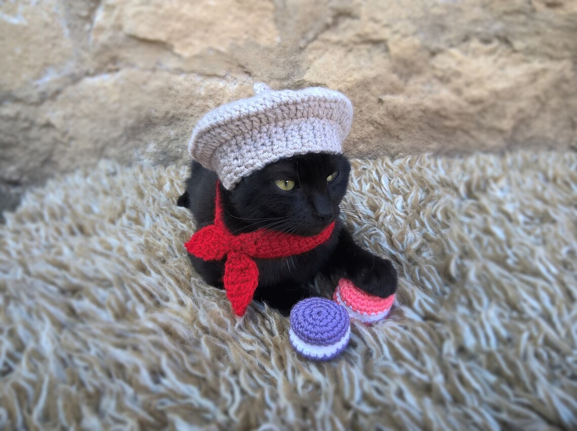 Cat French Beret Hat and Macaron Toys Pet Costume Beret Hat - Etsy UK