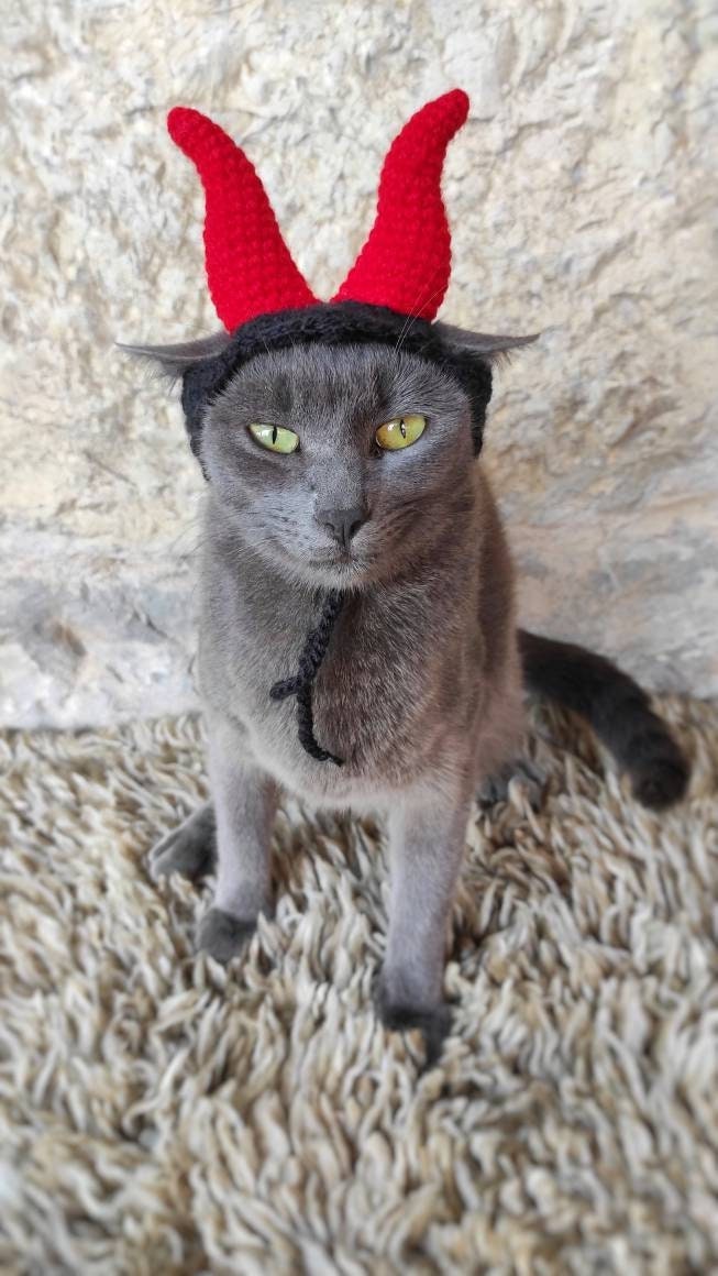 Crochet Devil Horns Cat Hat: Halloween Costume - Etsy