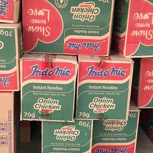 20 Boxes Wholesale Indomie Instant Noodle Onion Chicken 40 Pack - Etsy