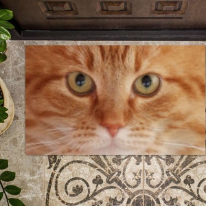 Custom Cat Photo Doormat, Cat's Picture on Doormat, Personalized Gift ...