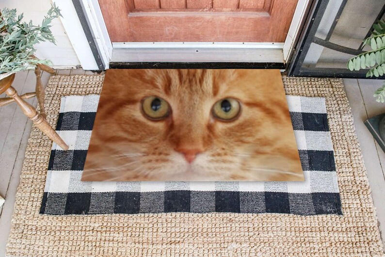 Custom Cat Photo Doormat Cat's Picture on Doormat - Etsy