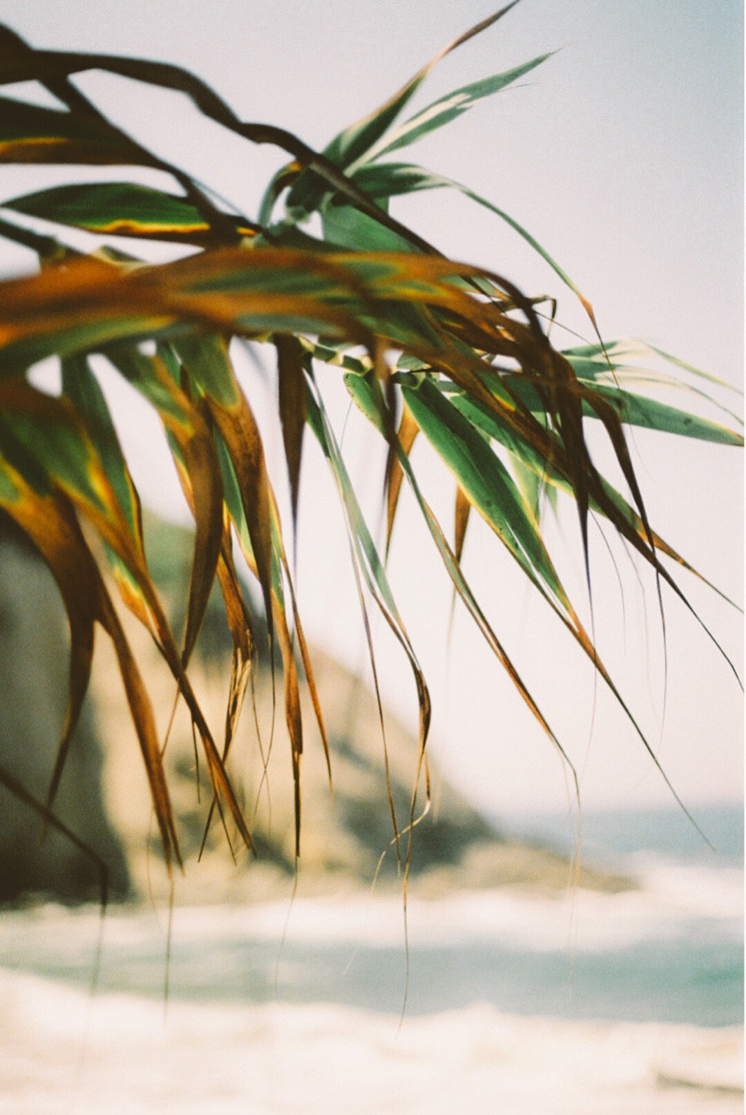 Beachside Print - Etsy