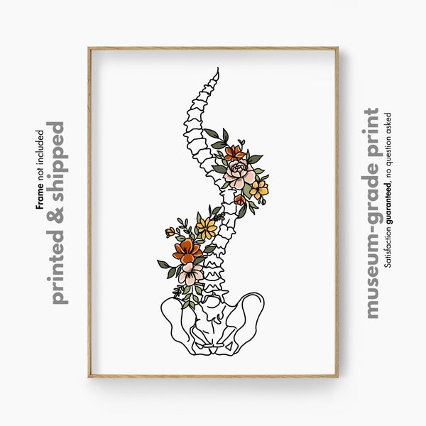 Spinal Cord Anatomy Poster - Etsy