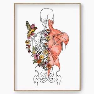 Floral Spine Anatomy Print, Back Muscles Poster, Muscular System Art ...