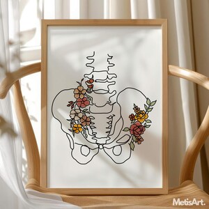 Floral Pelvic Anatomy Art Print: Chiropractic, Orthopedic Decor - Etsy