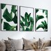 Monstera Leaves Print Set Tropical Leaves Wall Art Tropical - Etsy