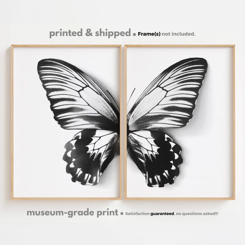 Butterfly Art Print - Etsy