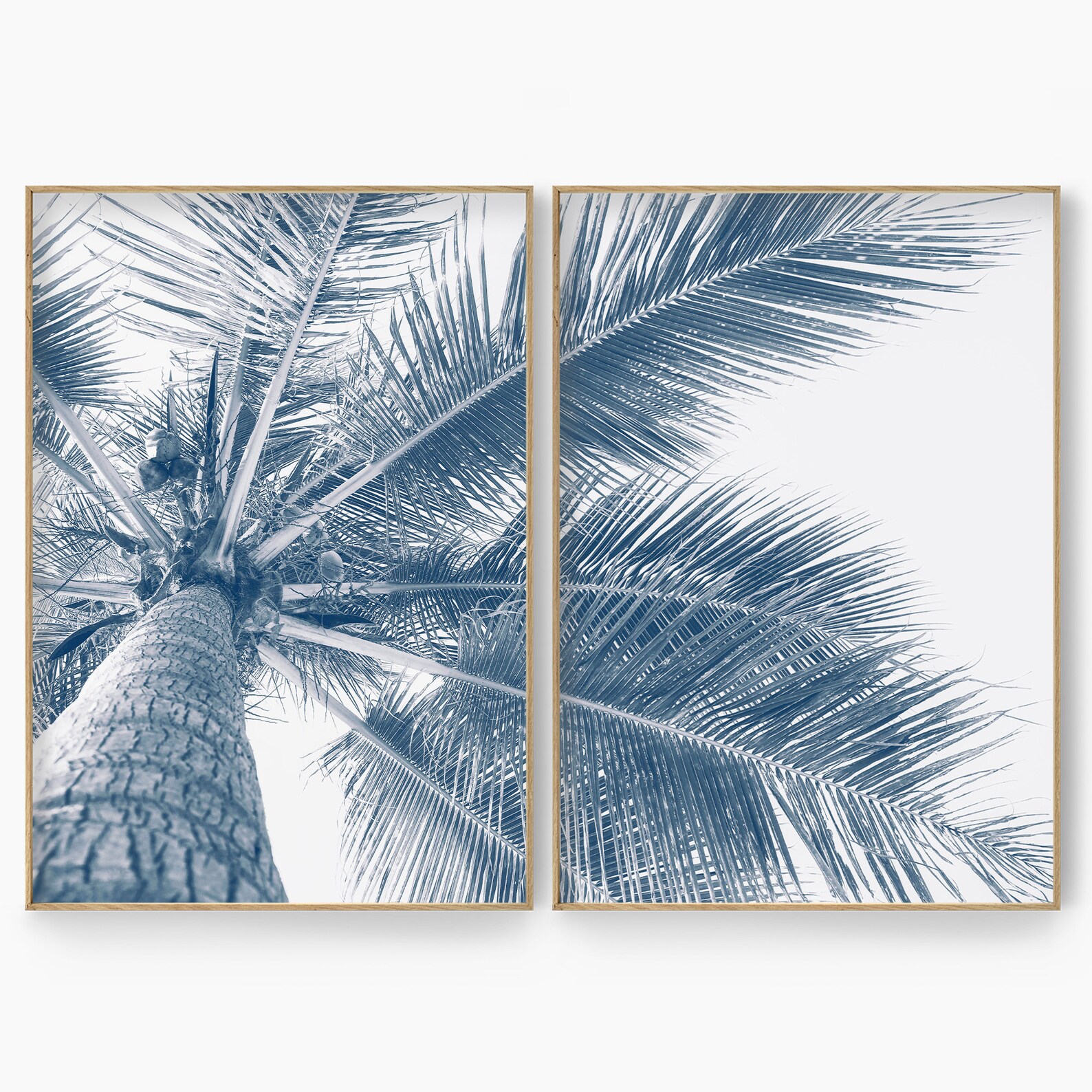 Palm Tree Photography Set of 2 Palm Tree Print Palm Tree - Etsy