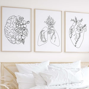 Minimalist Anatomy Art Print Set: Brain, Heart, Lungs - Medical Wall ...