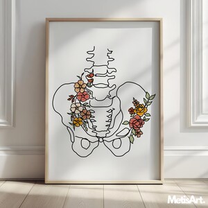 Floral Pelvic Anatomy Wall Art Print for Pelvic Floor, Chiropractic and ...