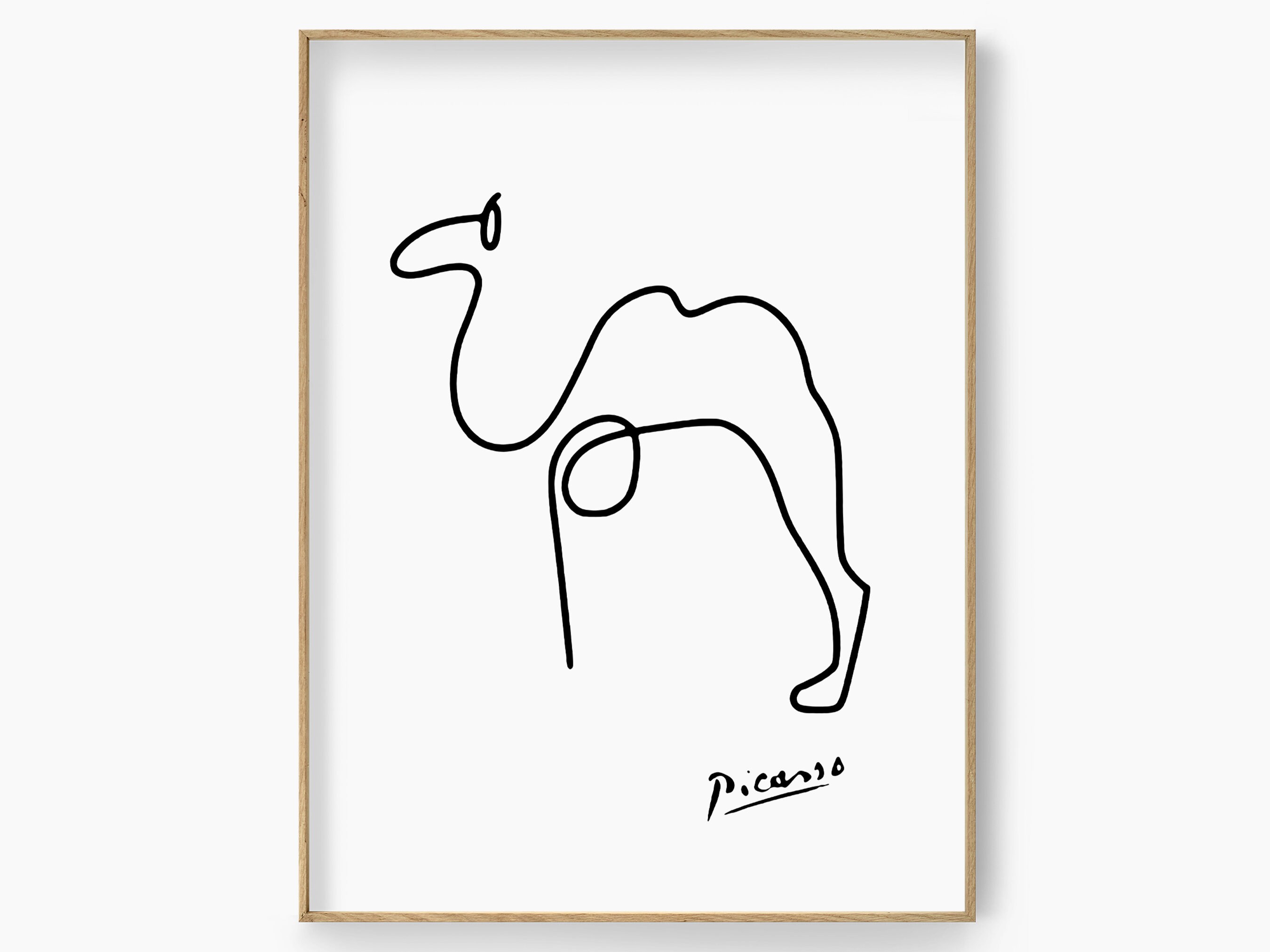 Picasso Line Drawings Camel
