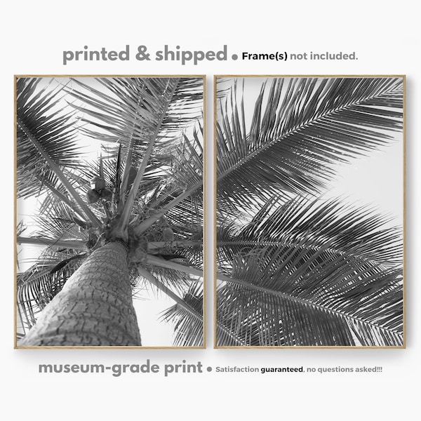 Palm Tree Poster - Etsy