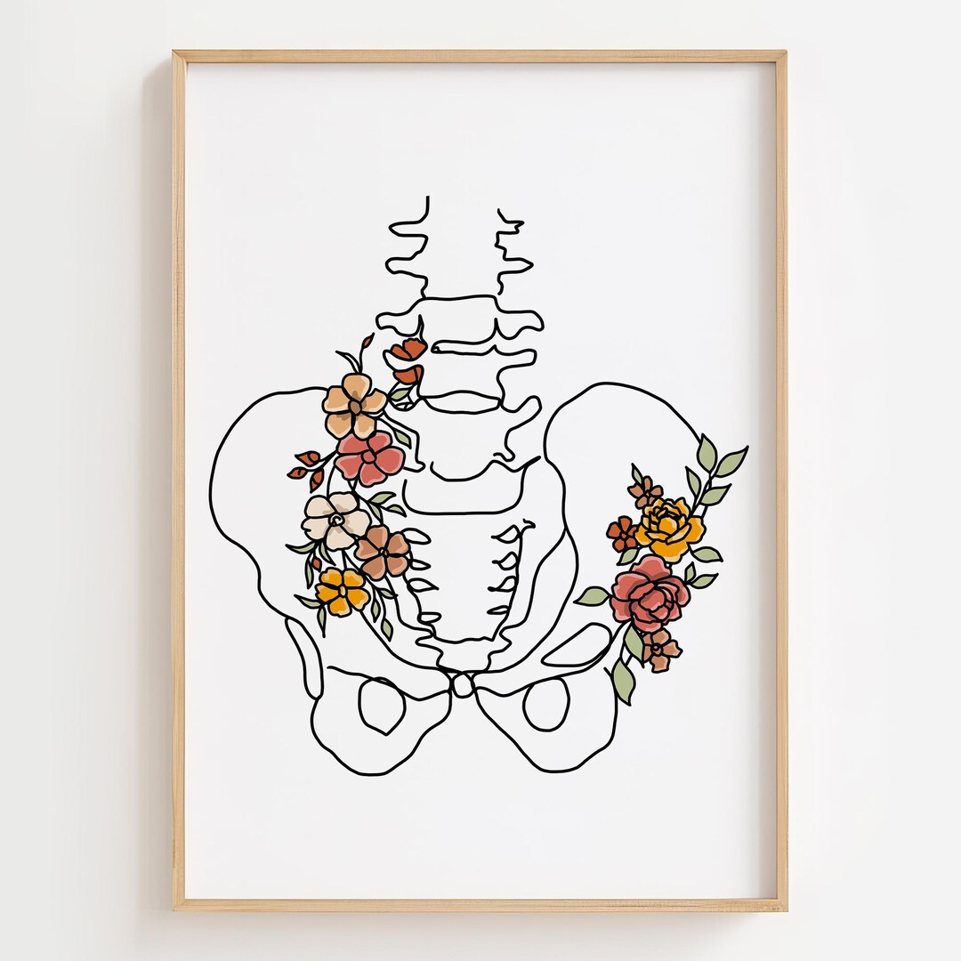 Floral Pelvic Anatomy Art Print: Chiropractic, Orthopedic Decor - Etsy