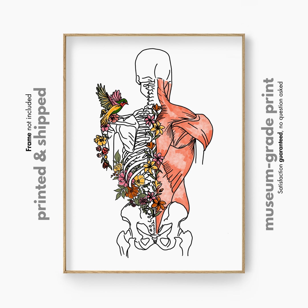 Human Back Muscles Poster, Flower Muscles Print, Muscular Anatomy Art ...