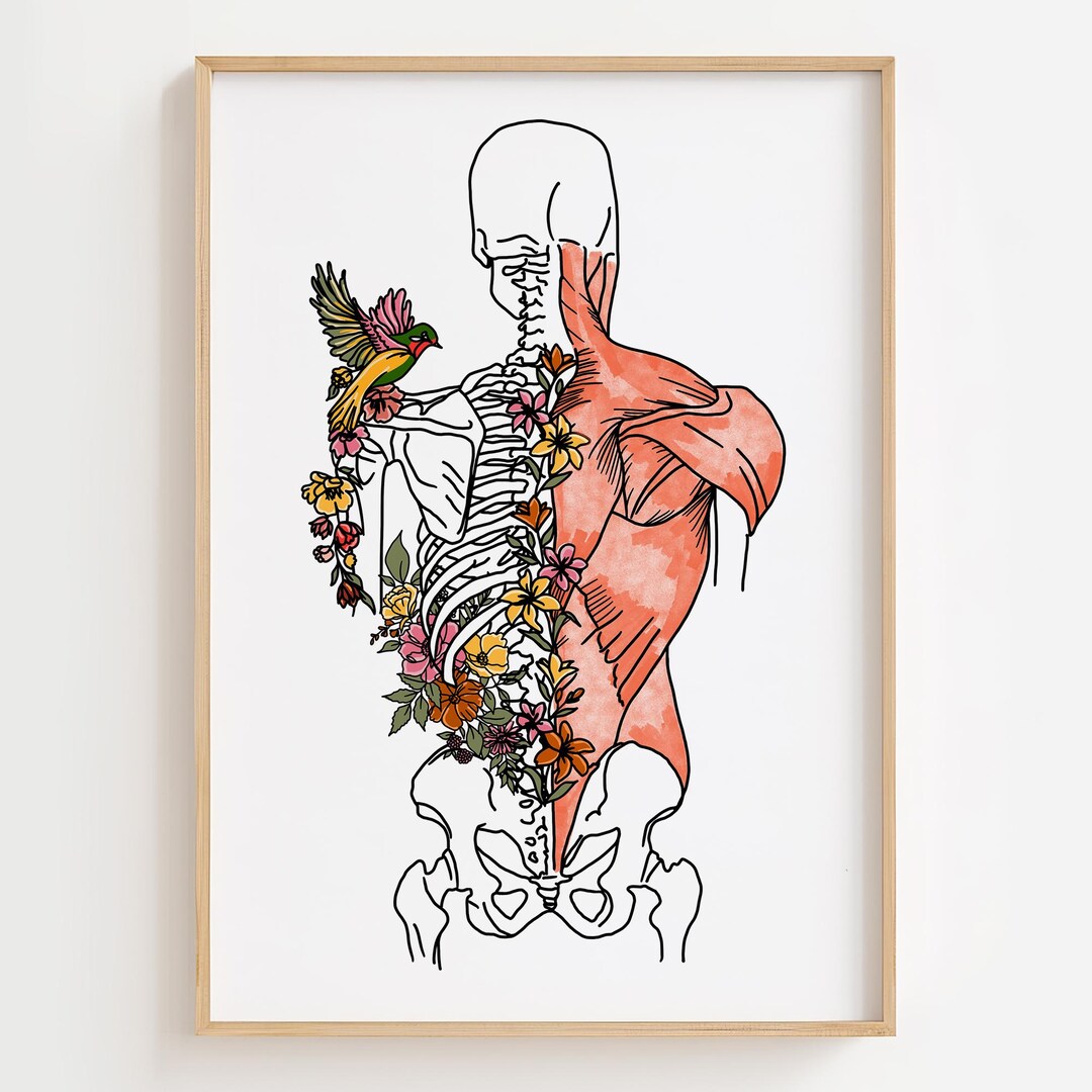 Floral Spine Anatomy Print, Back Muscles Poster, Muscular System Art ...
