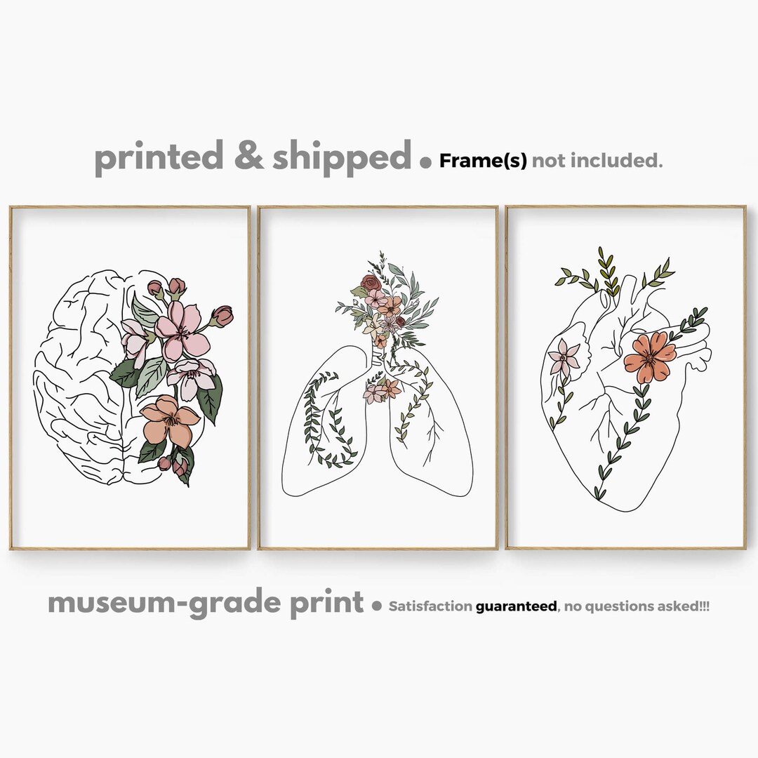 Floral Medical Poster Set of 3 Flower Anatomy Art Print Set - Etsy
