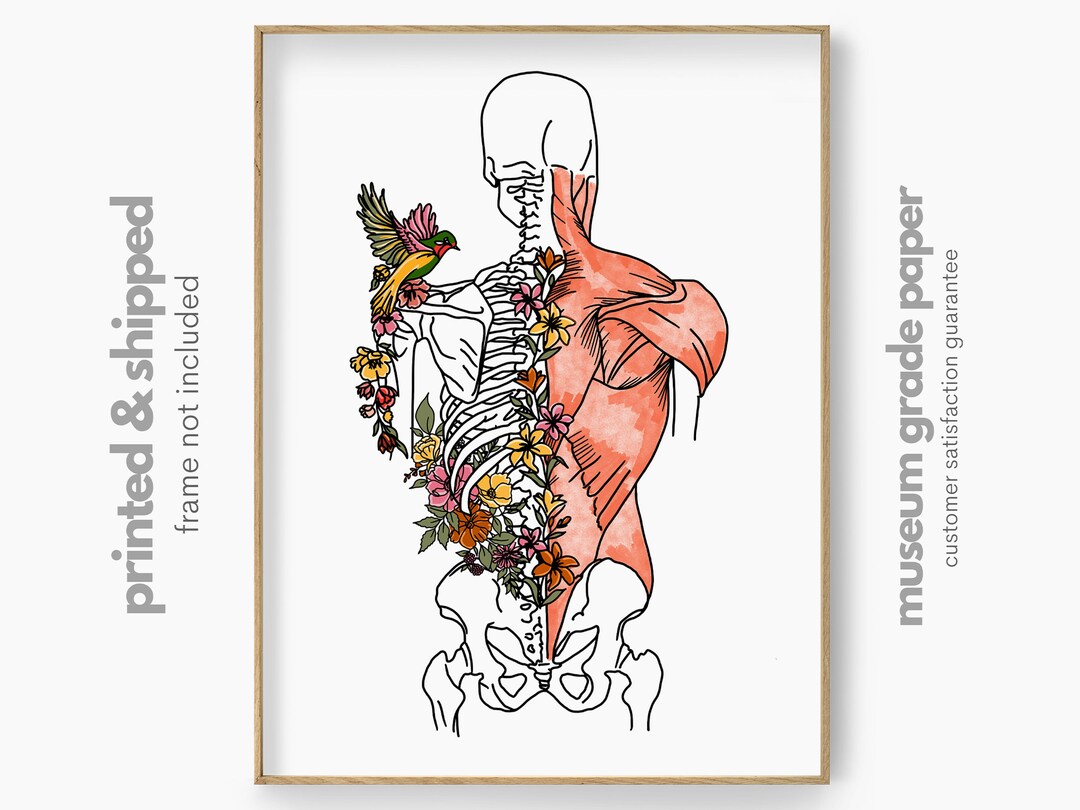 Human Back Muscles Poster Flower Muscles Print Muscular - Etsy