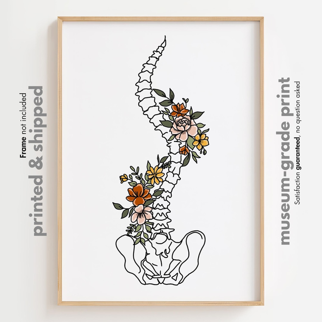 Flower Spinal Cord Anatomy Print: Orthopedic Medical Art - Etsy Canada