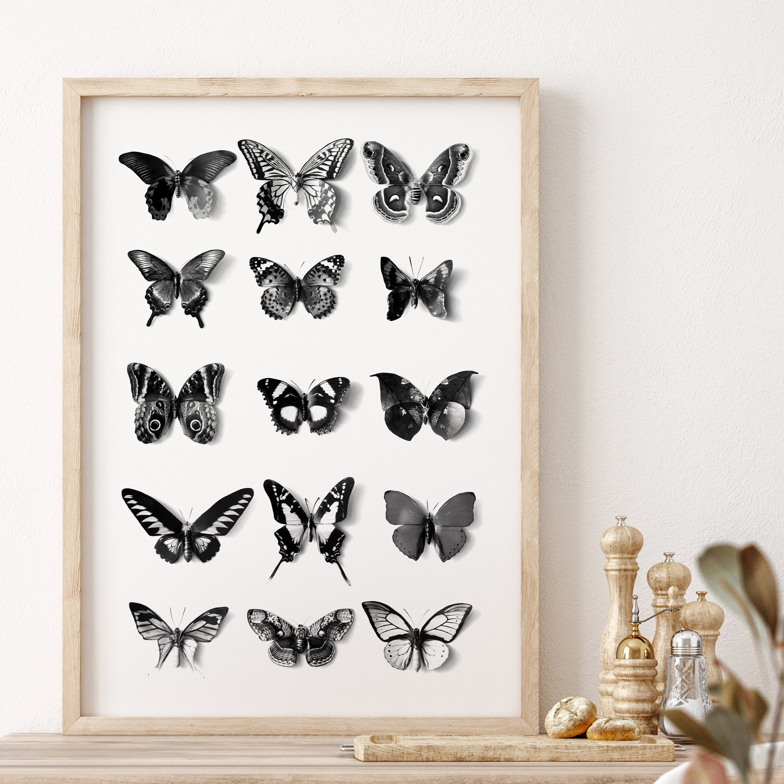 Real Butterfly Pictures To Print
