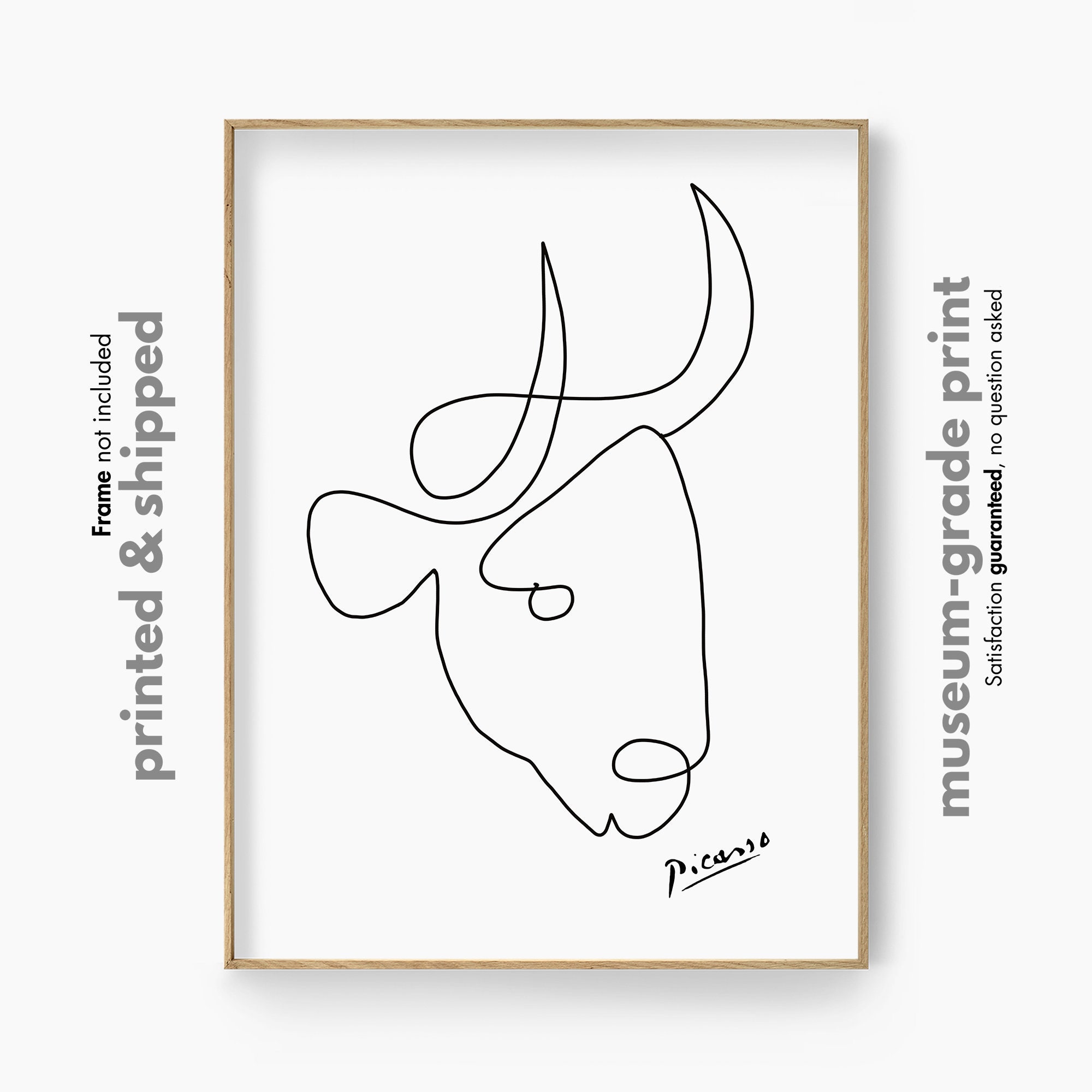 Picasso Line Drawings Bull