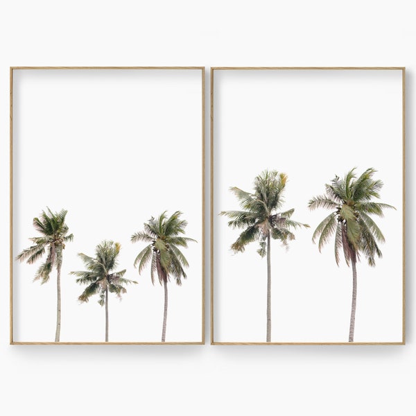 Palm Tree Poster - Etsy