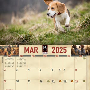 2025 Sporting Dogs Wall Calendar 16-month X-large Size 14x22, Best ...