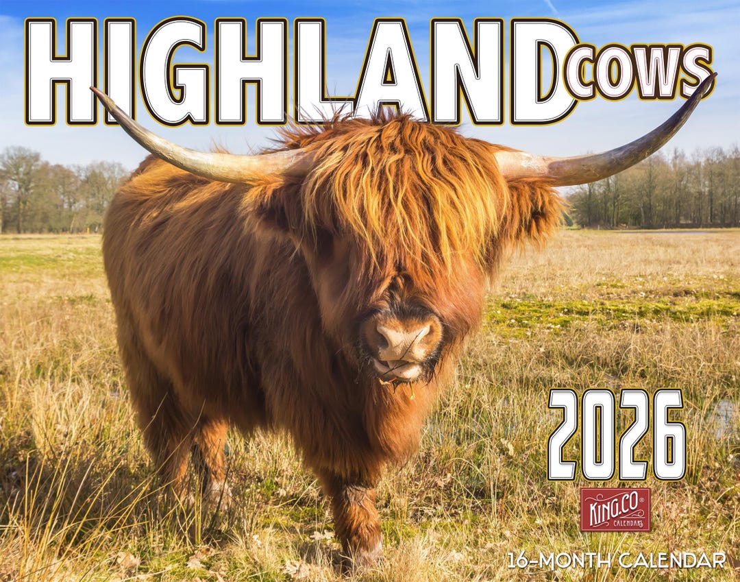 2026 Highland Cows Wall Calendar 16-month X-large Size 14x22, Scottish ...