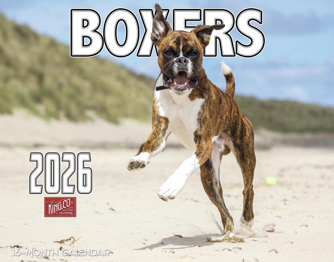 2026 Boxer Dogs Wall Calendar 16-month X-large Size 14x22, Fun Dog ...