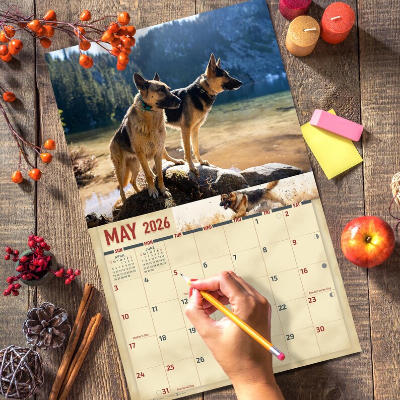 2026 German Shepherds Wall Calendar 16-month X-large Size 14x22, Dog ...