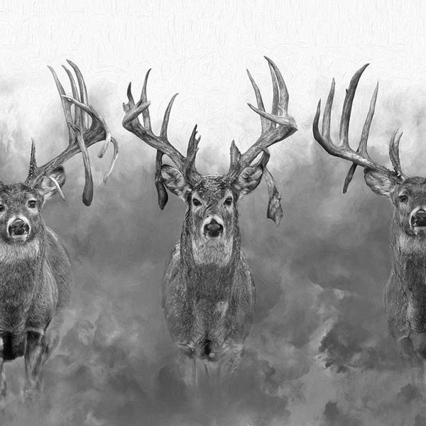 Deer Art Print - Etsy