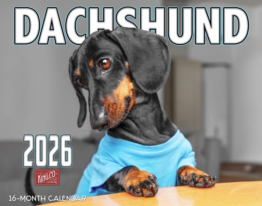 2026 Dachshund Wall Calendar 16-month X-large Size 14x22, Weiner Dog ...