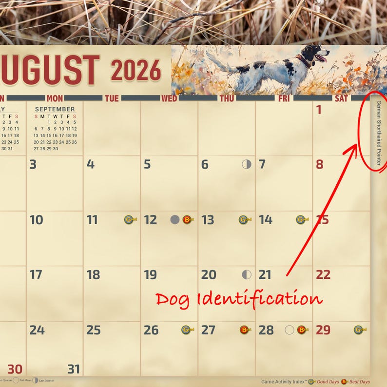 2026 Sporting Dogs Wall Calendar 16-month X-large Size 14x22, Hunting ...