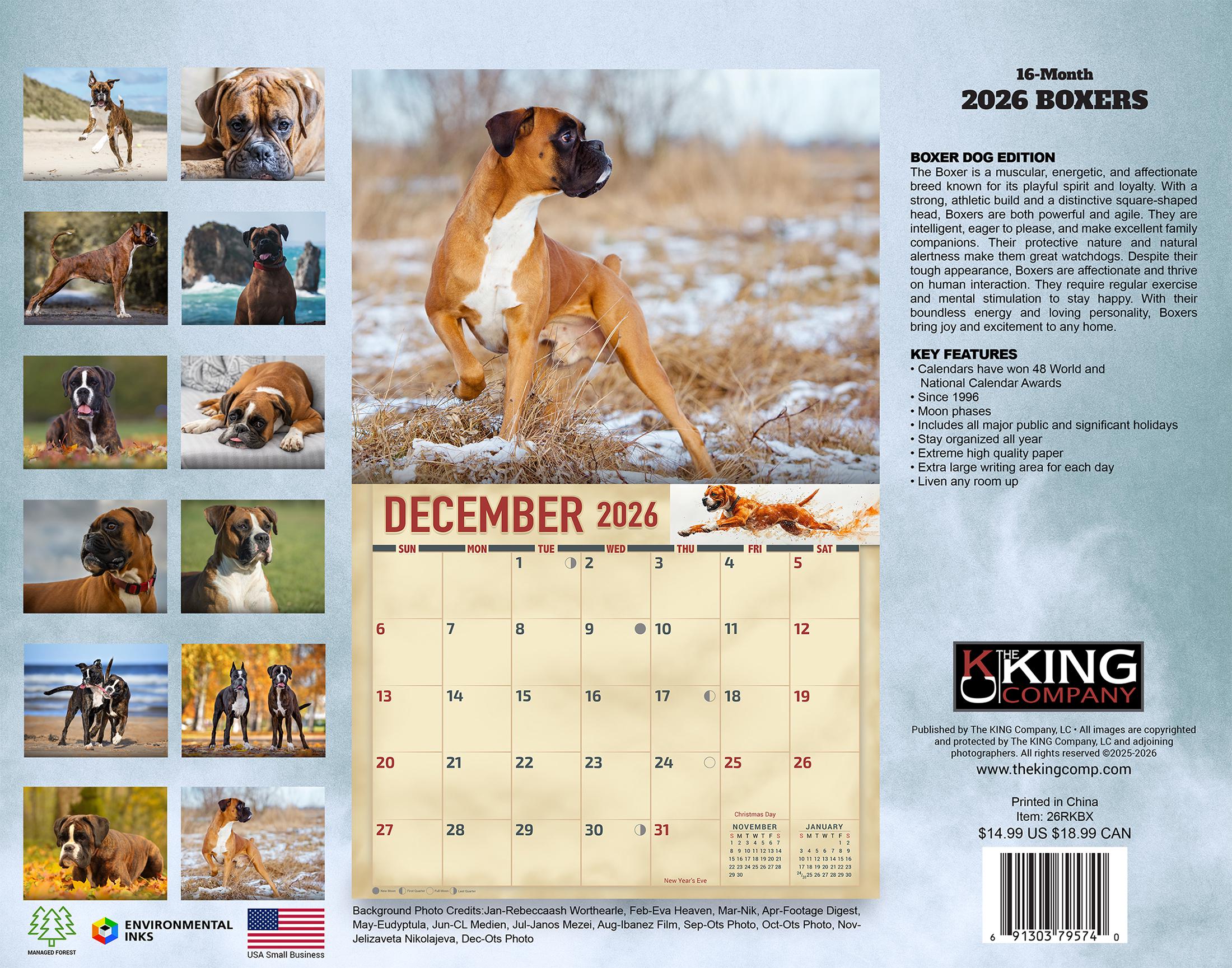 2026 Boxer Dogs Wall Calendar 16-month X-large Size 14x22, Fun Dog ...