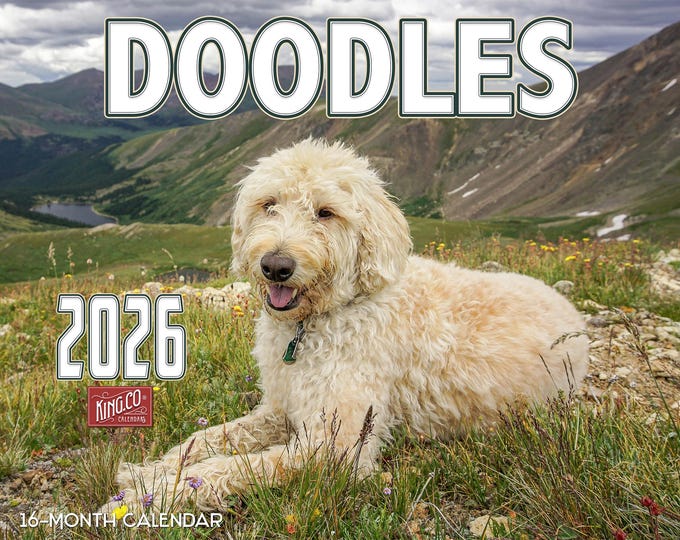 2026 Doodles Wall Calendar 16-month X-large Size 14x22, Goldendoodle ...