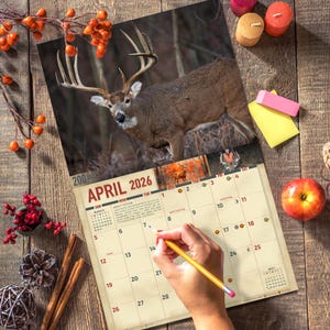 2026 Monster Whitetail Deer Wall Calendar 16-month X-large Size 14x22 ...