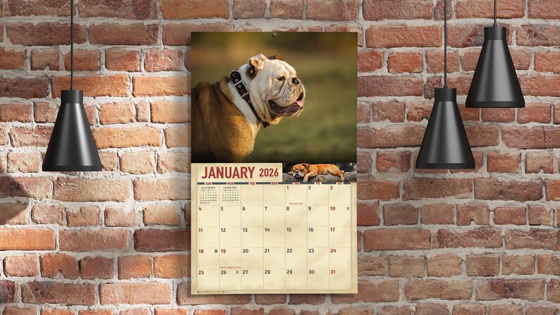 2026 Bulldogs Wall Calendar 16-month X-large Size 14x22, Dog Calendar ...