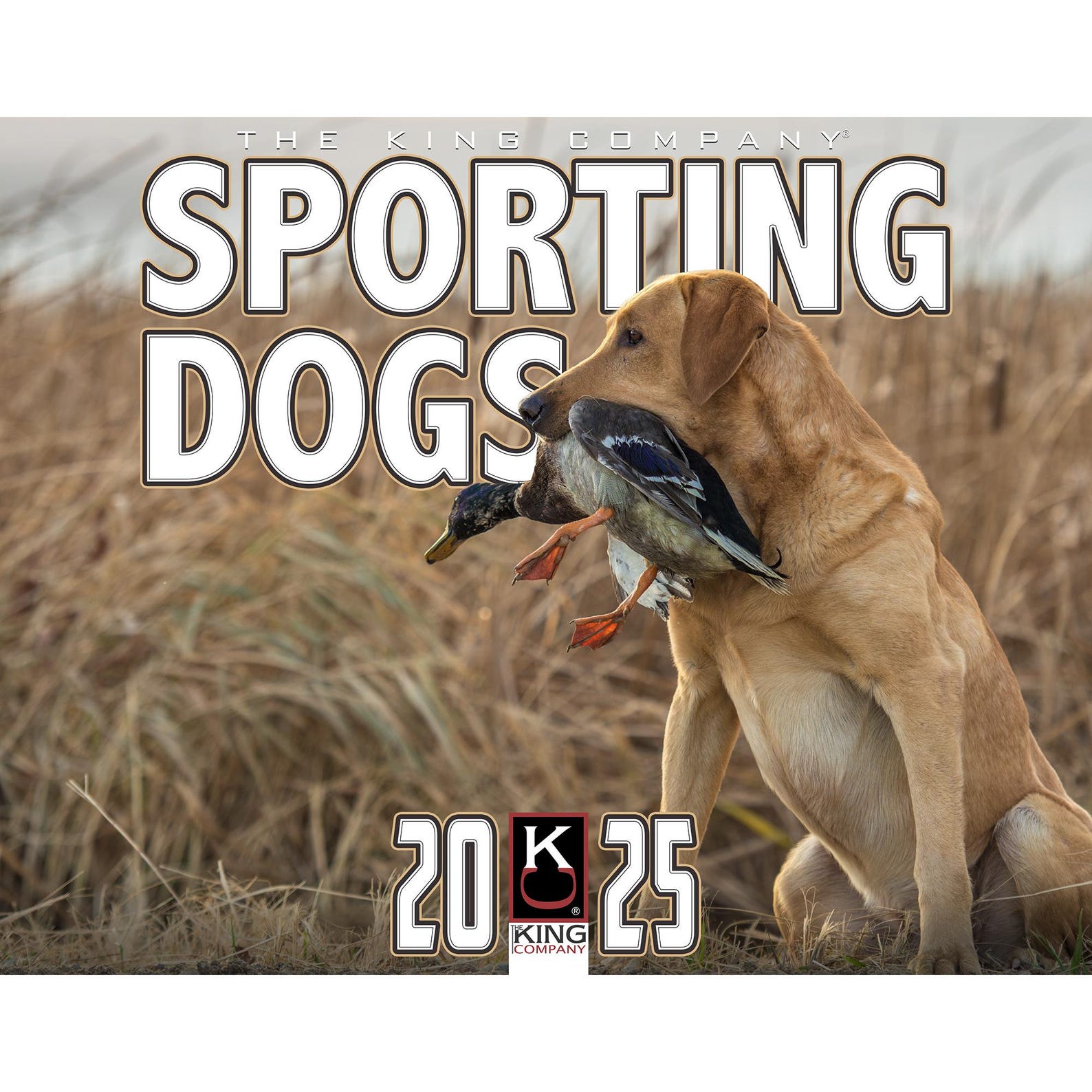 2025 Sporting Dogs Wall Calendar 16-month X-large Size 14x22, Best ...