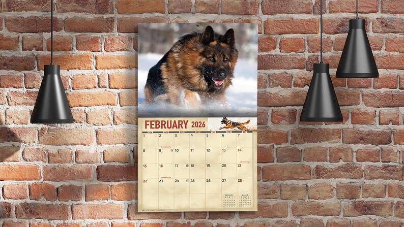 2026 German Shepherds Wall Calendar 16-month X-large Size 14x22, Dog ...