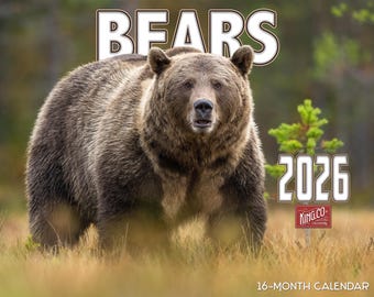 2026 Bear Wall Calendar - Etsy