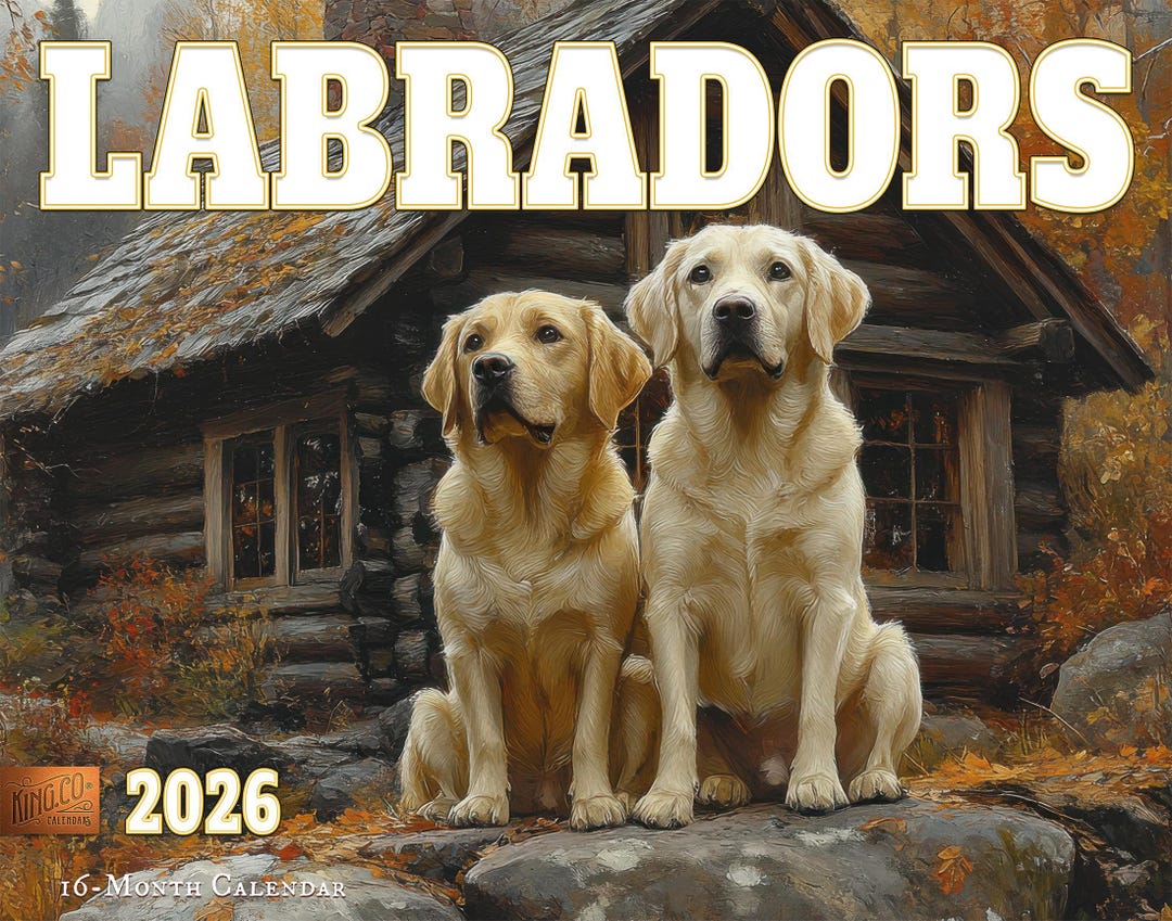 2026 Labradors Illustrated Wall Calendar 16-month X-large Size 14x22 ...