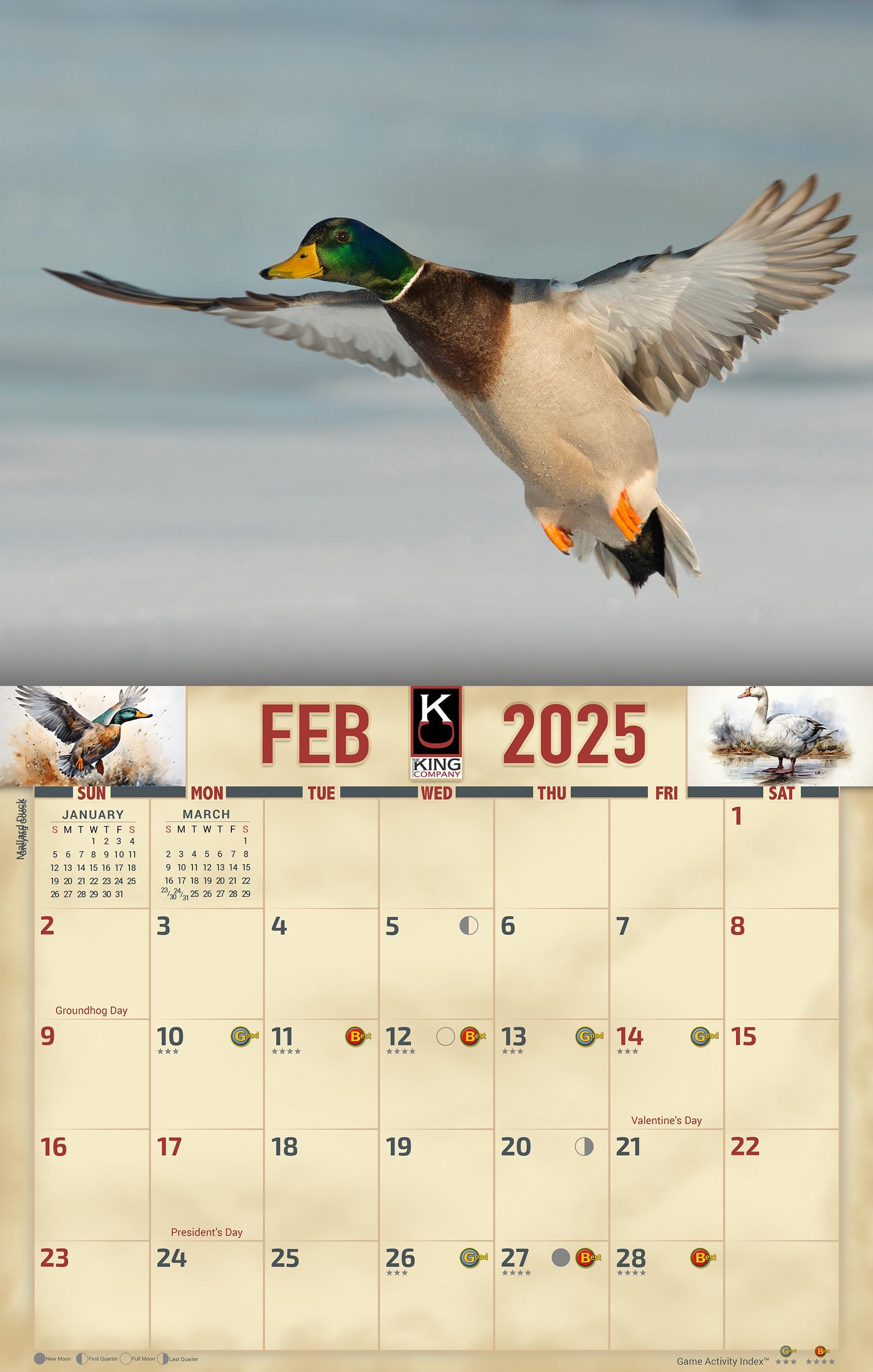 2025 Waterfowl Wall Calendar 16-month X-large Size 14x22, Duck Geese ...