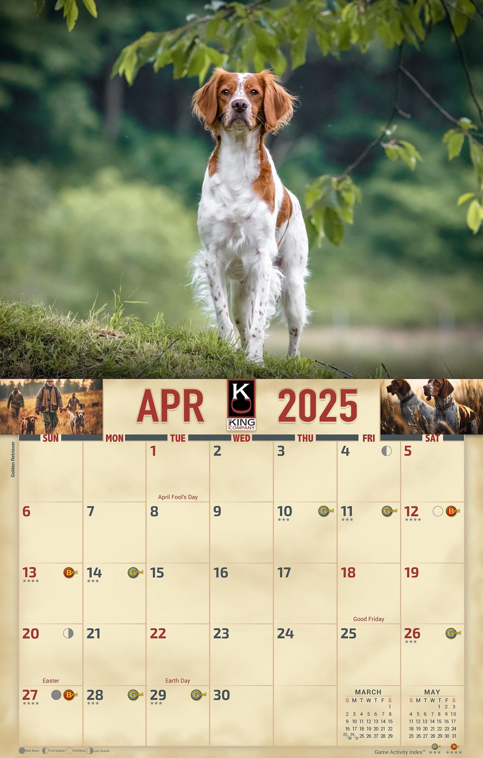 2025 Sporting Dogs Wall Calendar 16-month X-large Size 14x22, Best ...