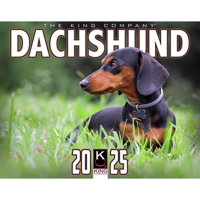 Dachshund Calendar 2025 - Etsy