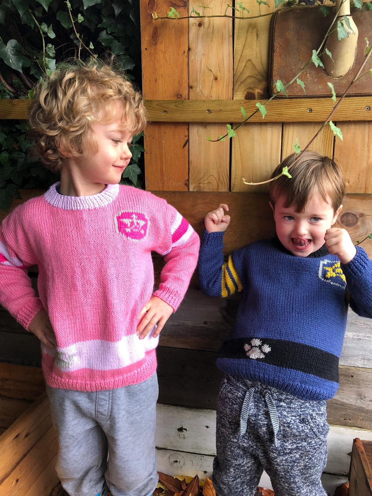 Pet Patrol Paw Print Knitting Pattern - Etsy UK