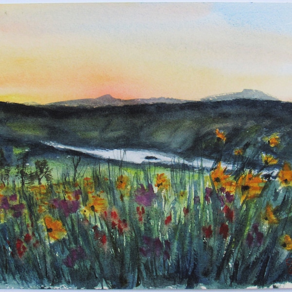 Oregon Wildflowers - Etsy