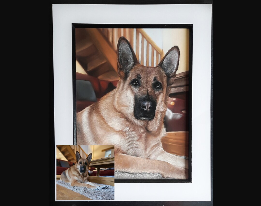 German Shepherd Original Hand-drawn Custom Pet Portrait, Alsatian ...