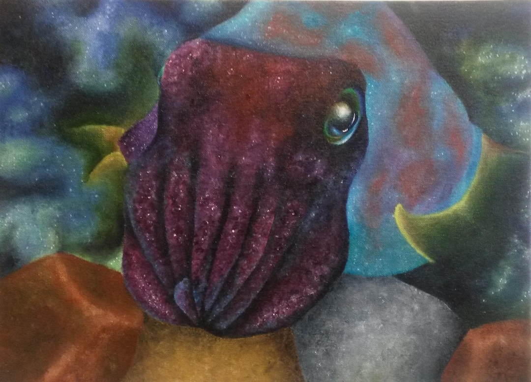 Purple Cuddle-fish - Etsy
