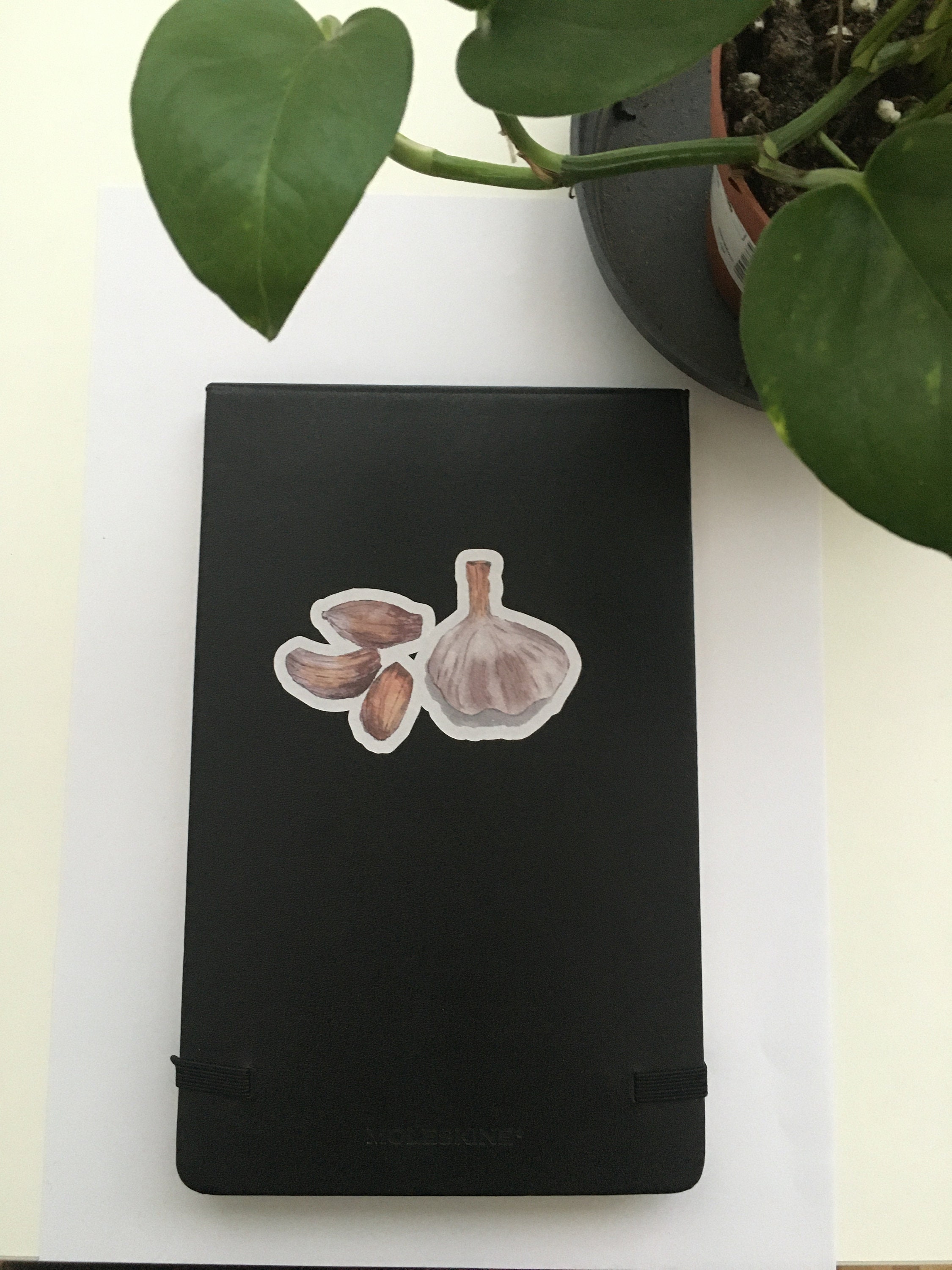 Garlic Stickers 3X3in Watercolor | Etsy