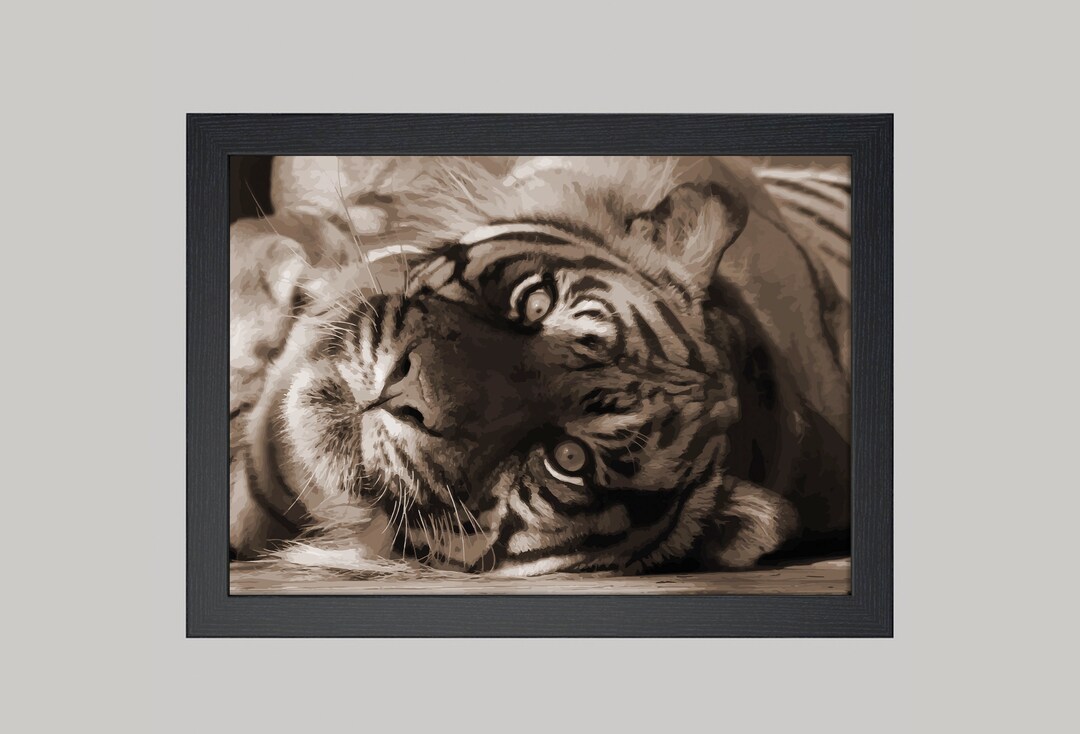 A4 Tiger Print Tiger Wall Art Tiger Landscape Print Tiger - Etsy
