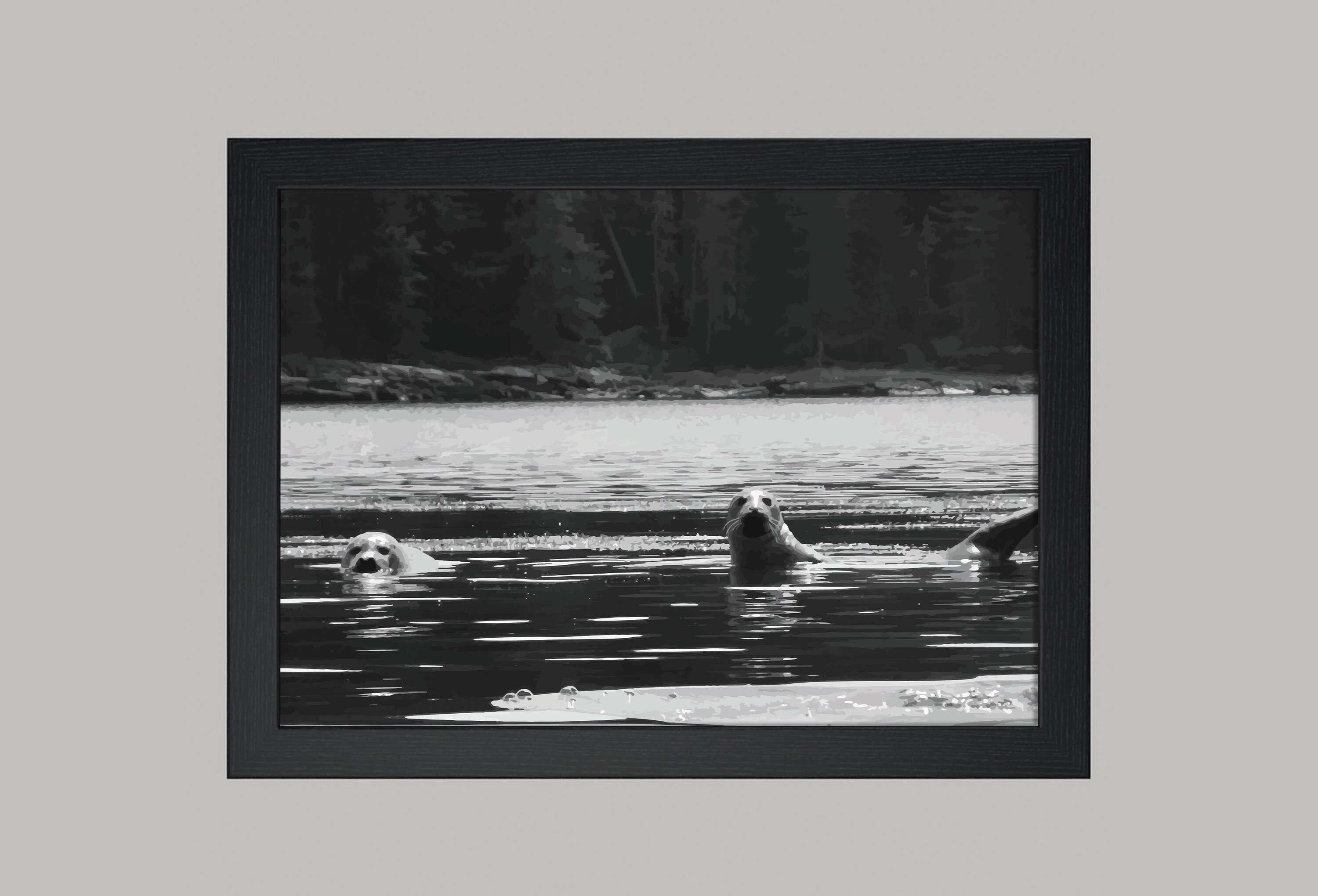 A4 Seal Print, Seal Wall Art, Seal Landscape Print, Seal Photographic ...